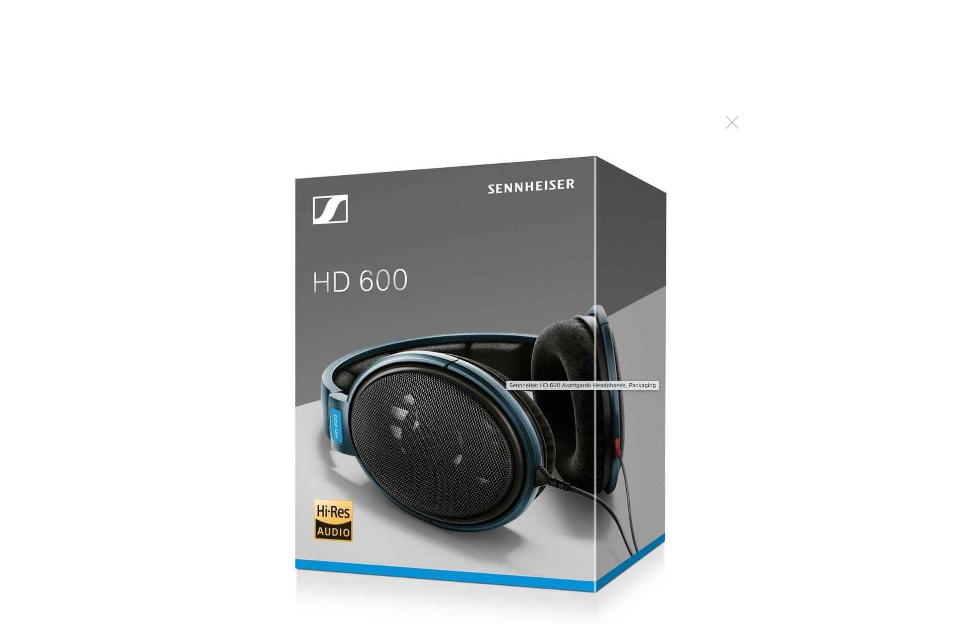 Sennheiser HD-660 Wired Audiophile Headphones Reviewed