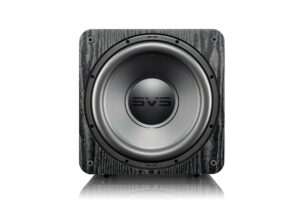 SVS SB-1000 audiophile Sub Reviewed